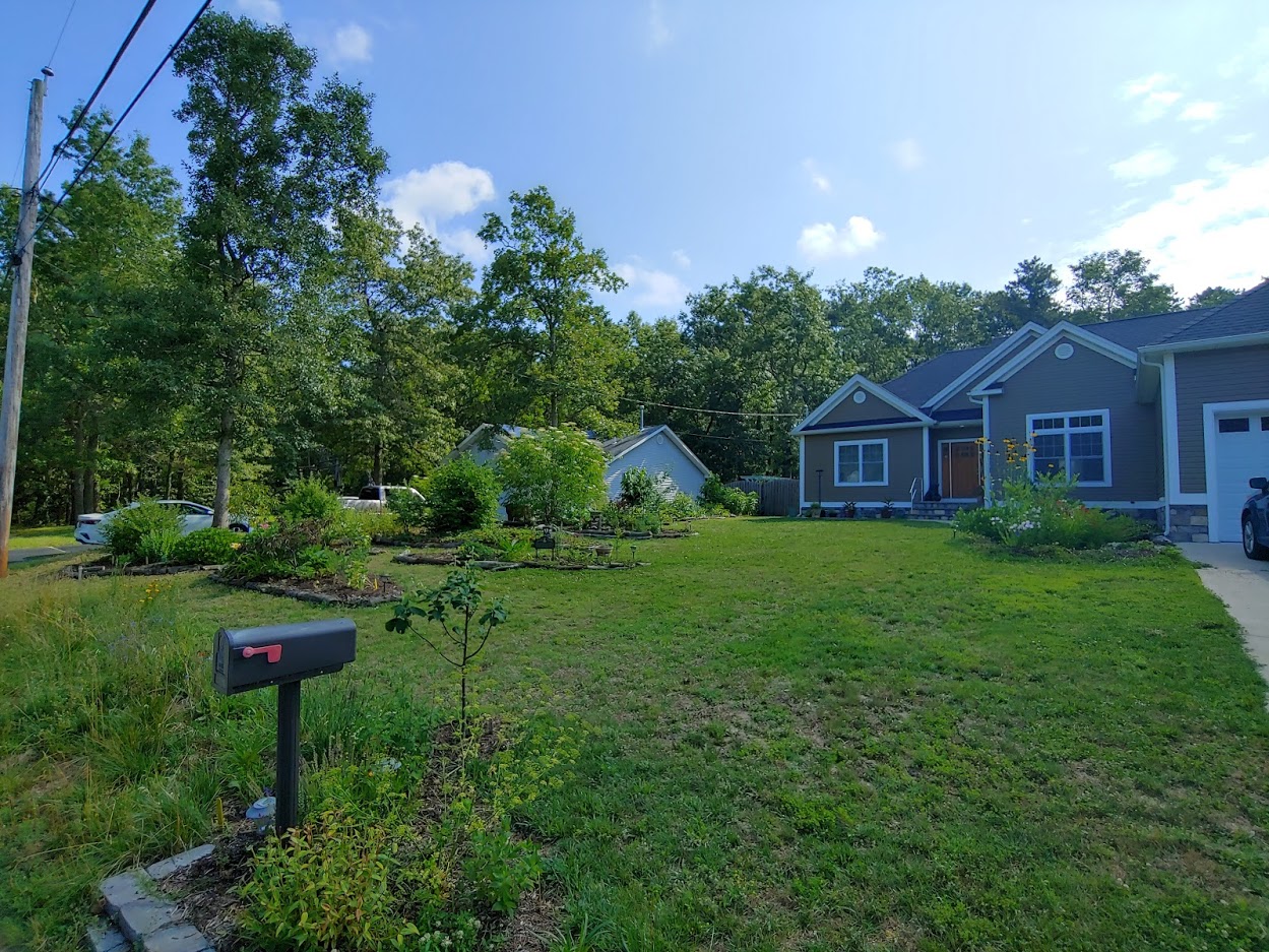 Today's the day! Permaculture Garden Tour at my place, thanks to the ...